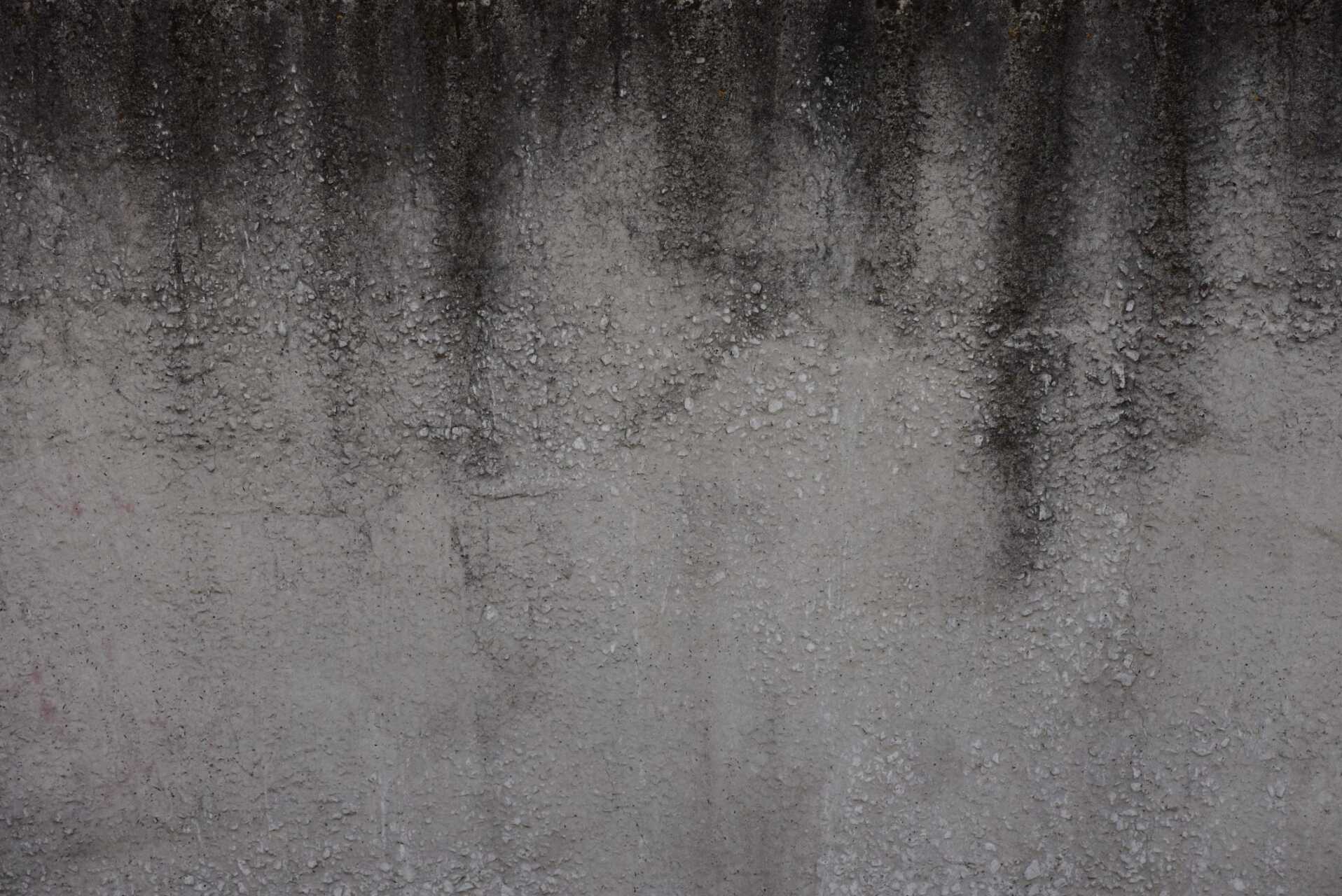 7 Best Smoke Odor Elimination Techniques Post-Fire | Best Cleanup