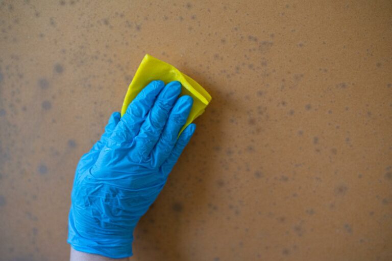 Top Tips for Rapid Mold Removal | Best Cleanup